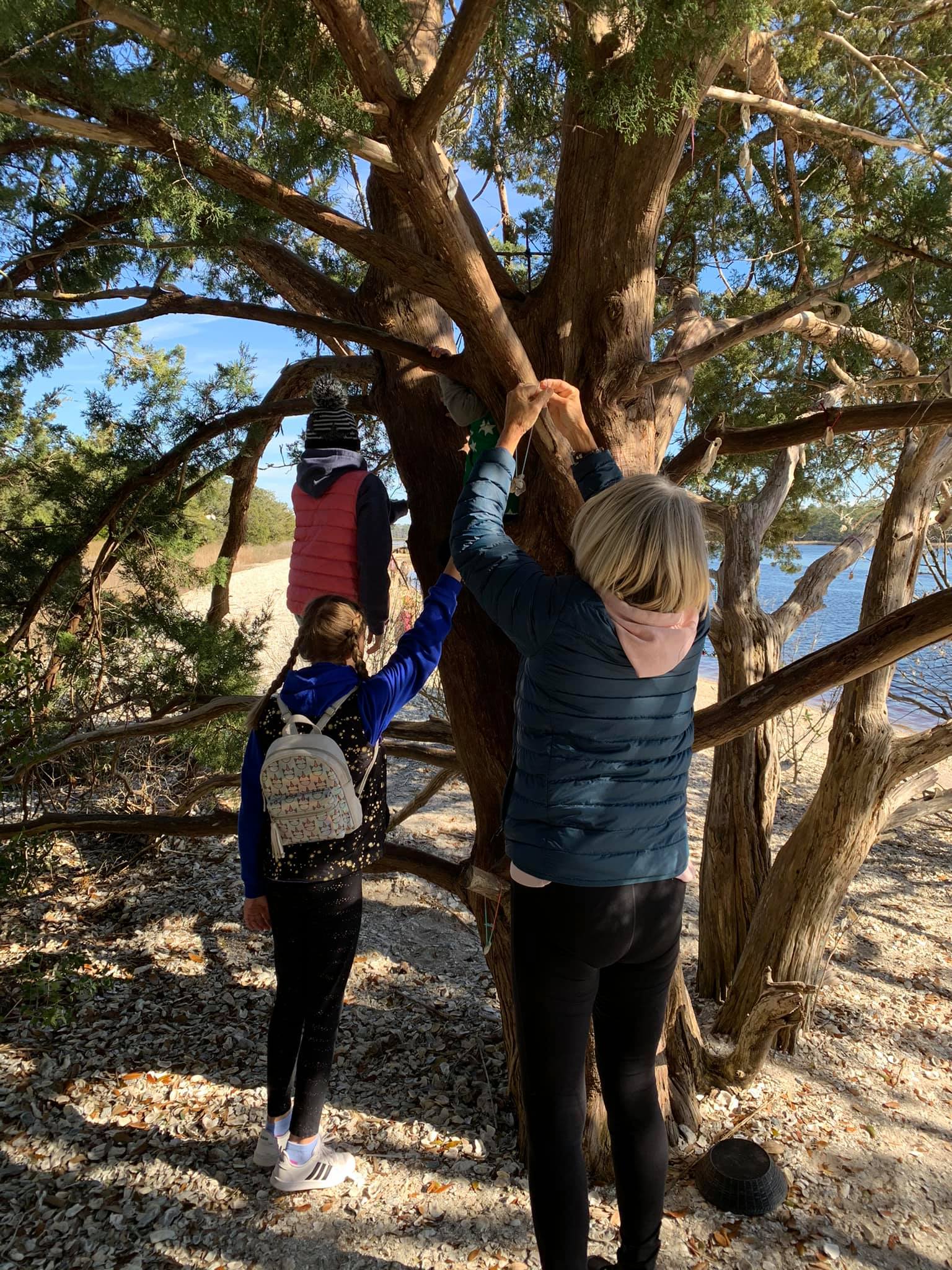 Papa’s World – find a seashell – write a name and date – and then make ...