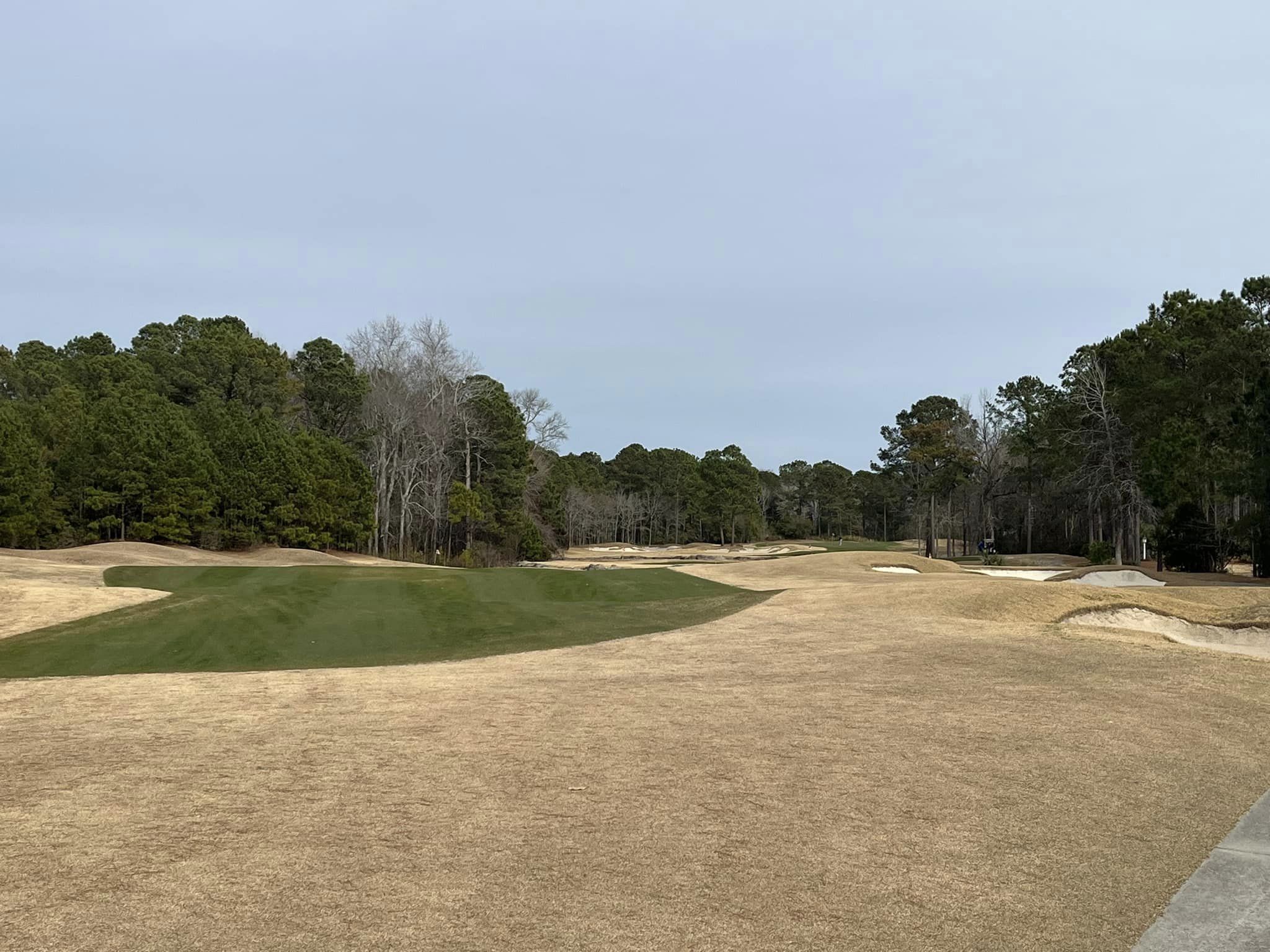 Papa’s World – Leopards Chase – GOLFING! | I